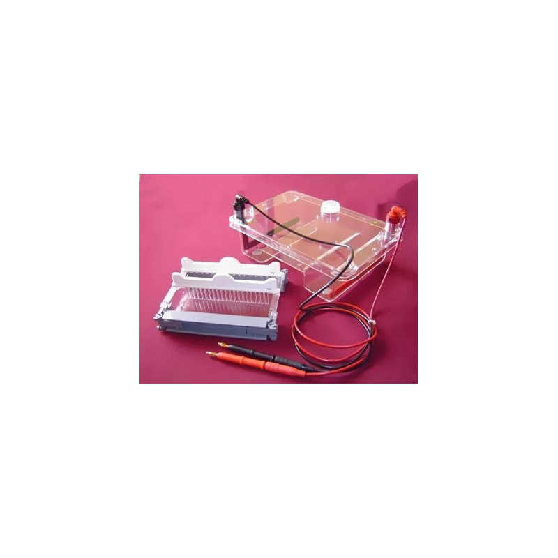 Kit para Electroforesis